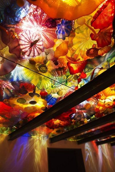 Photos: Chihuly Garden and Glass Debuts at Seattle Center - Gemini ...
