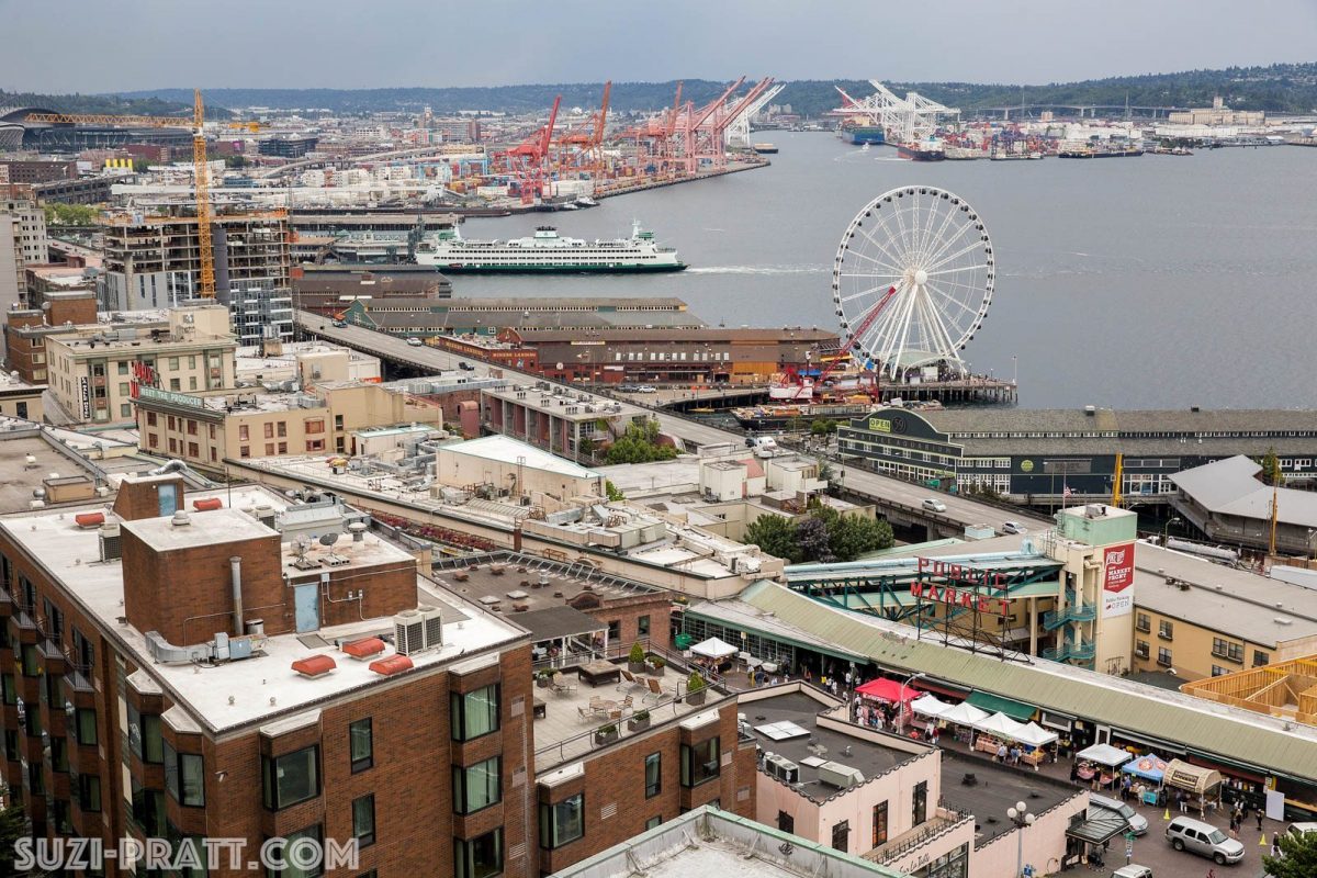Photos: The Nest - Seattle Architecture Photographer