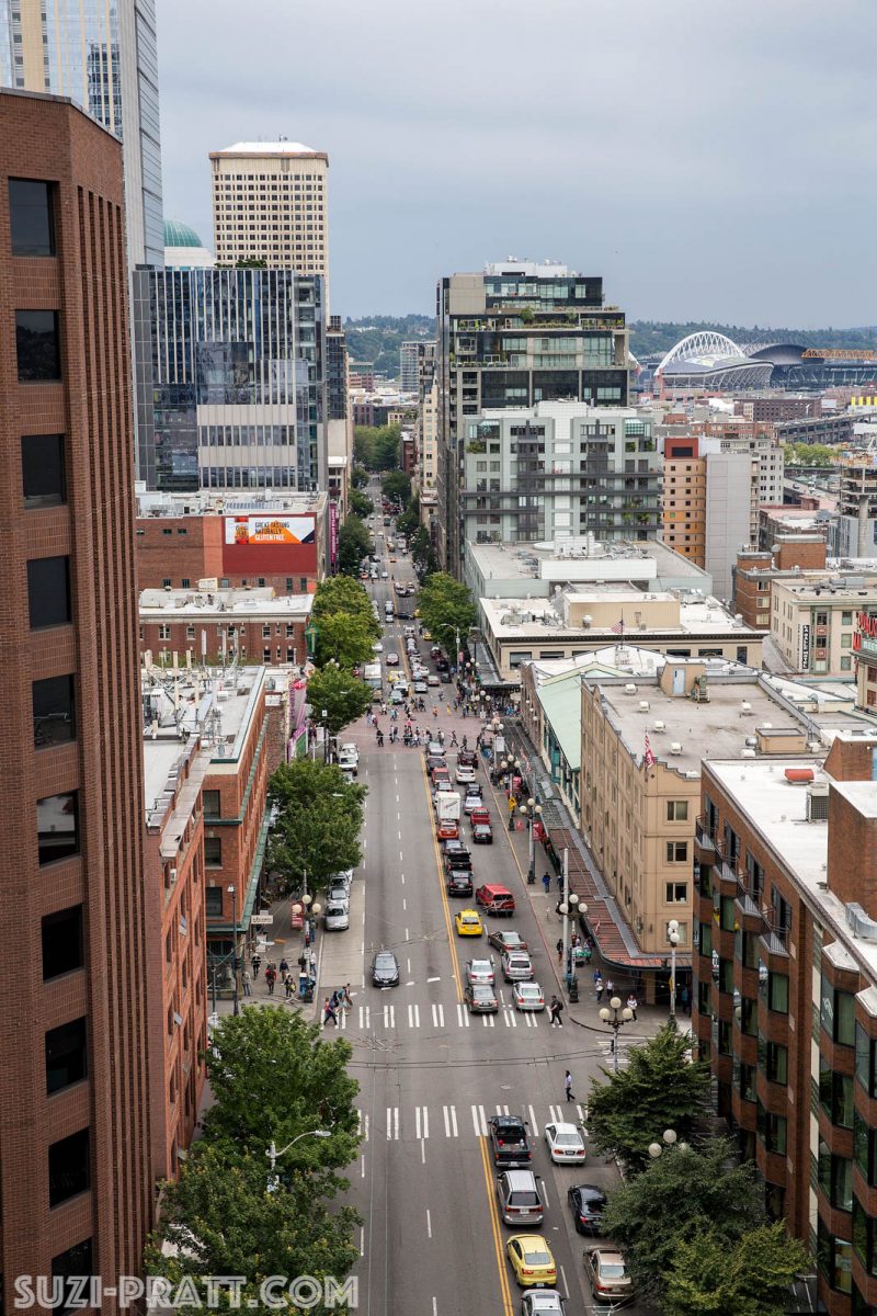 Photos: The Nest - Seattle Architecture Photographer